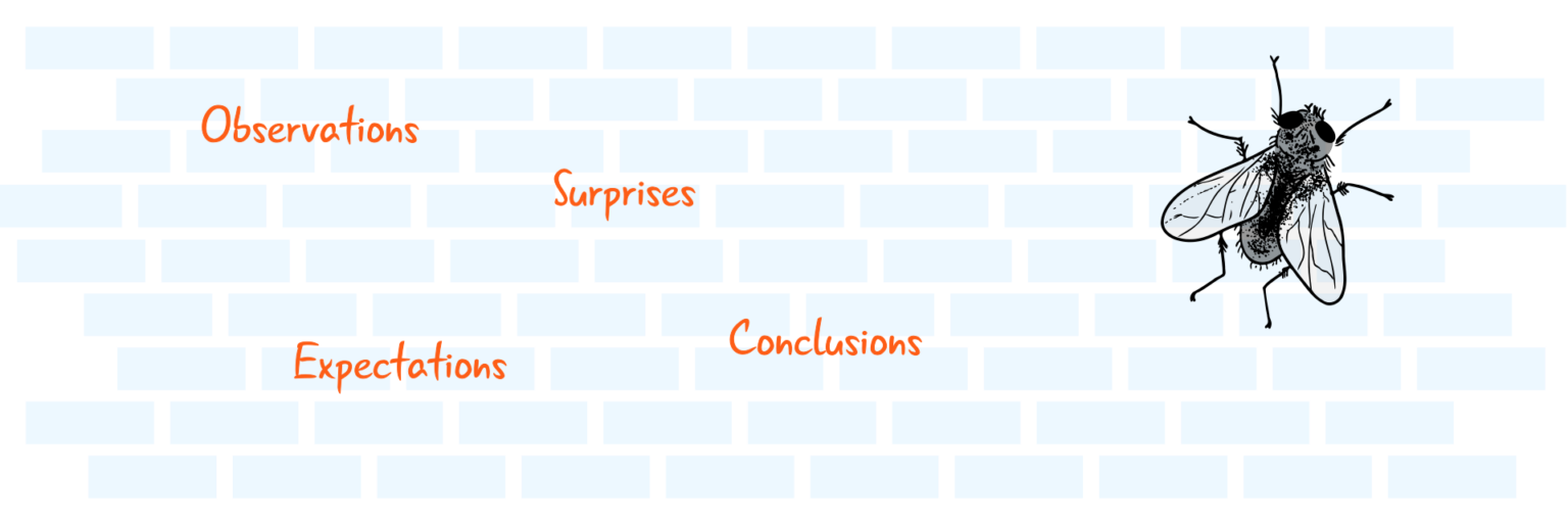 Fly on the wall - Room For Ideas